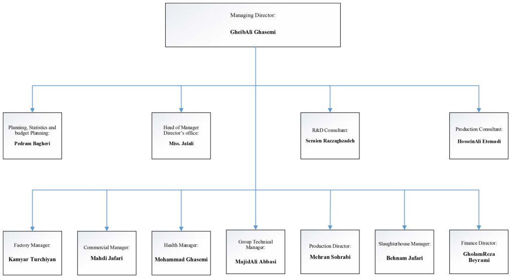 Manufacturing Organizational Charts Examples 20 Organizational Chart